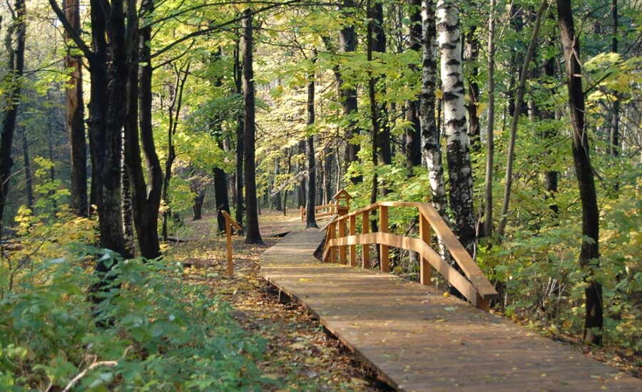 Sparrow Hills, Moscow